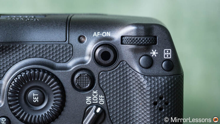 Canon R3 for Bird and Wildlife Photography - Mirrorless Comparison