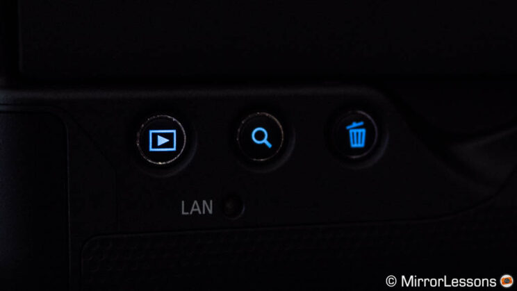 Canon R3 for Bird and Wildlife Photography - Mirrorless Comparison