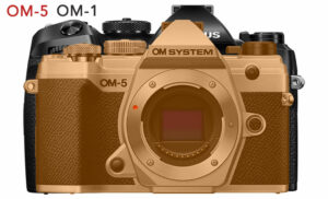 OM system OM-1 vs OM-5 - The 10 Main Differences - Mirrorless Comparison