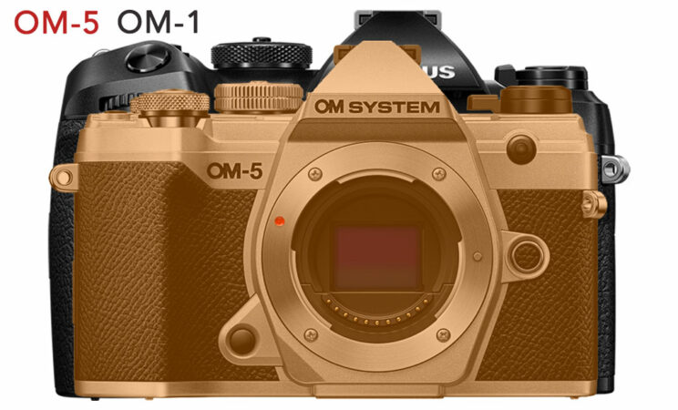 OM system OM-1 vs OM-5 - The 10 Main Differences - Mirrorless Comparison