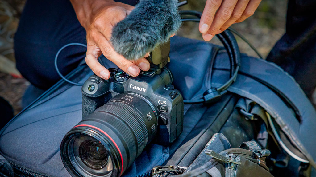 Canon EOS R6 vs R6 Mark II - The 10 Main Differences - Mirrorless ...