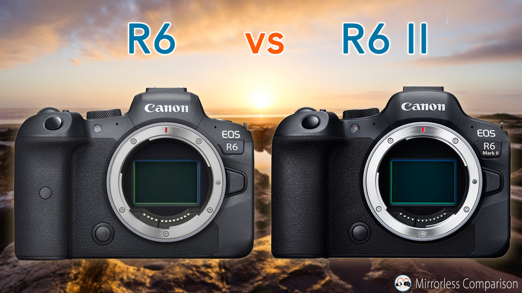 Canon Eos R6 Vs Canon Eos Mirrorless Camera Specs At Anne Nelson Blog Canon Eos R6 Vs Canon Eos Mirrorless Camera Specs At Anne Nelson Blog