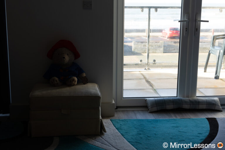 Canon EOS R6 vs R7 - The 10 Main Differences and Full Comparison ...