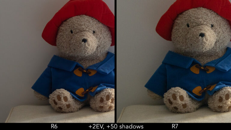 Canon EOS R6 vs R7 - The 10 Main Differences and Full Comparison ...