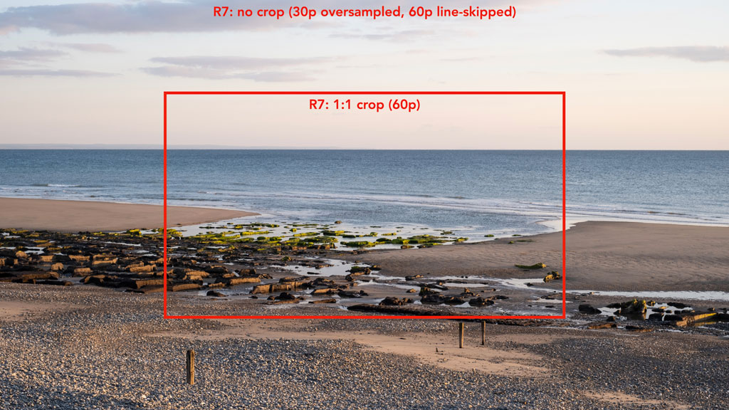 Canon EOS R7 vs R8 - The 10 Main Differences - Mirrorless Comparison