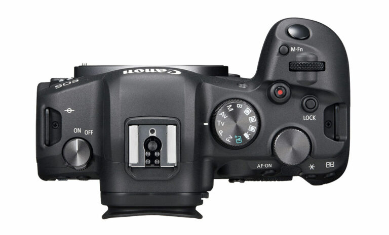 Canon R6 vs R8 - The 10 Main Differences - Mirrorless Comparison