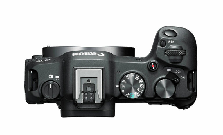 Canon R6 vs R8 - The 10 Main Differences - Mirrorless Comparison