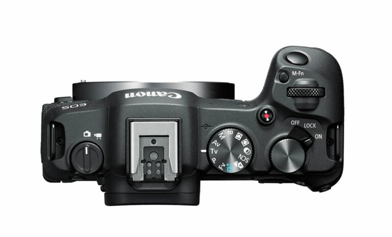 Canon EOS R8 vs R6 mark II - The 10 main differences - Mirrorless ...