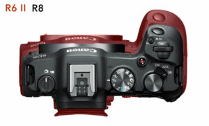 Canon EOS R8 vs R6 mark II - The 10 main differences - Mirrorless ...