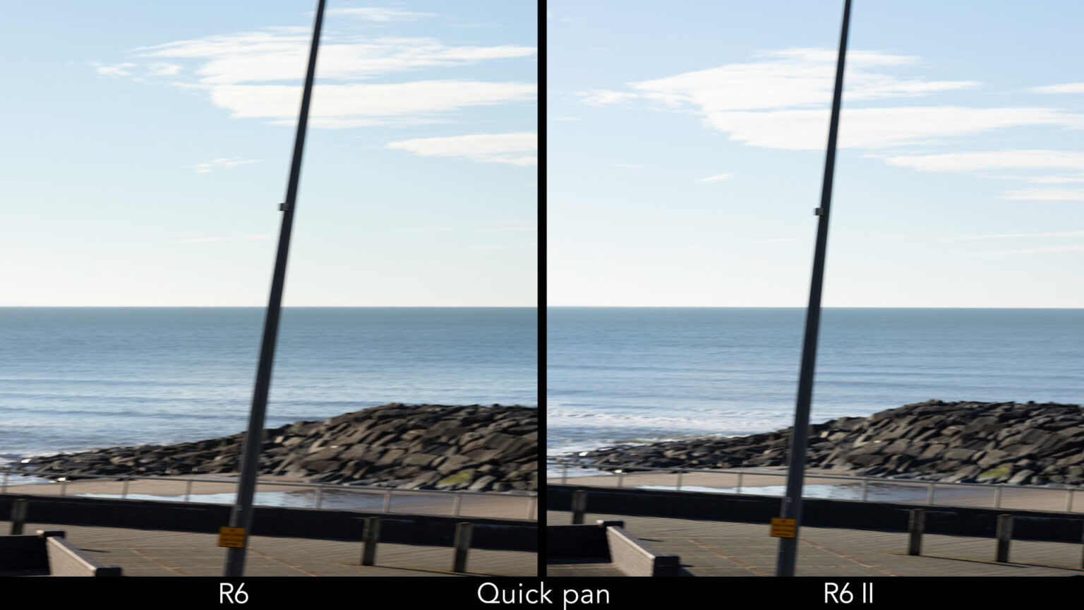 Canon R6 vs R8 - The 10 Main Differences - Mirrorless Comparison