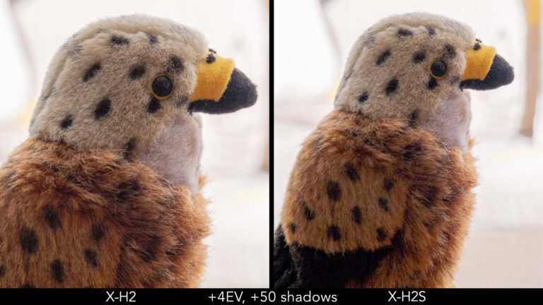 Fujifilm X-H2 vs X-H2S - The 5 Main Differences and Full Comparison - Mirrorless Comparison