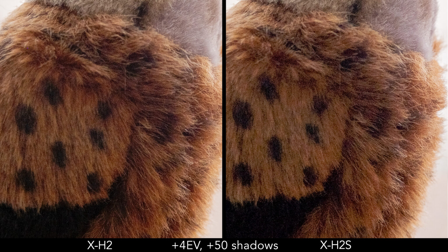 Fujifilm X-H2 vs X-H2S - The 5 Main Differences and Full Comparison ...