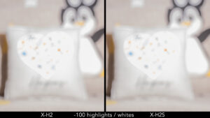 Fujifilm X-H2 vs X-H2S - The 5 Main Differences and Full Comparison - Mirrorless Comparison