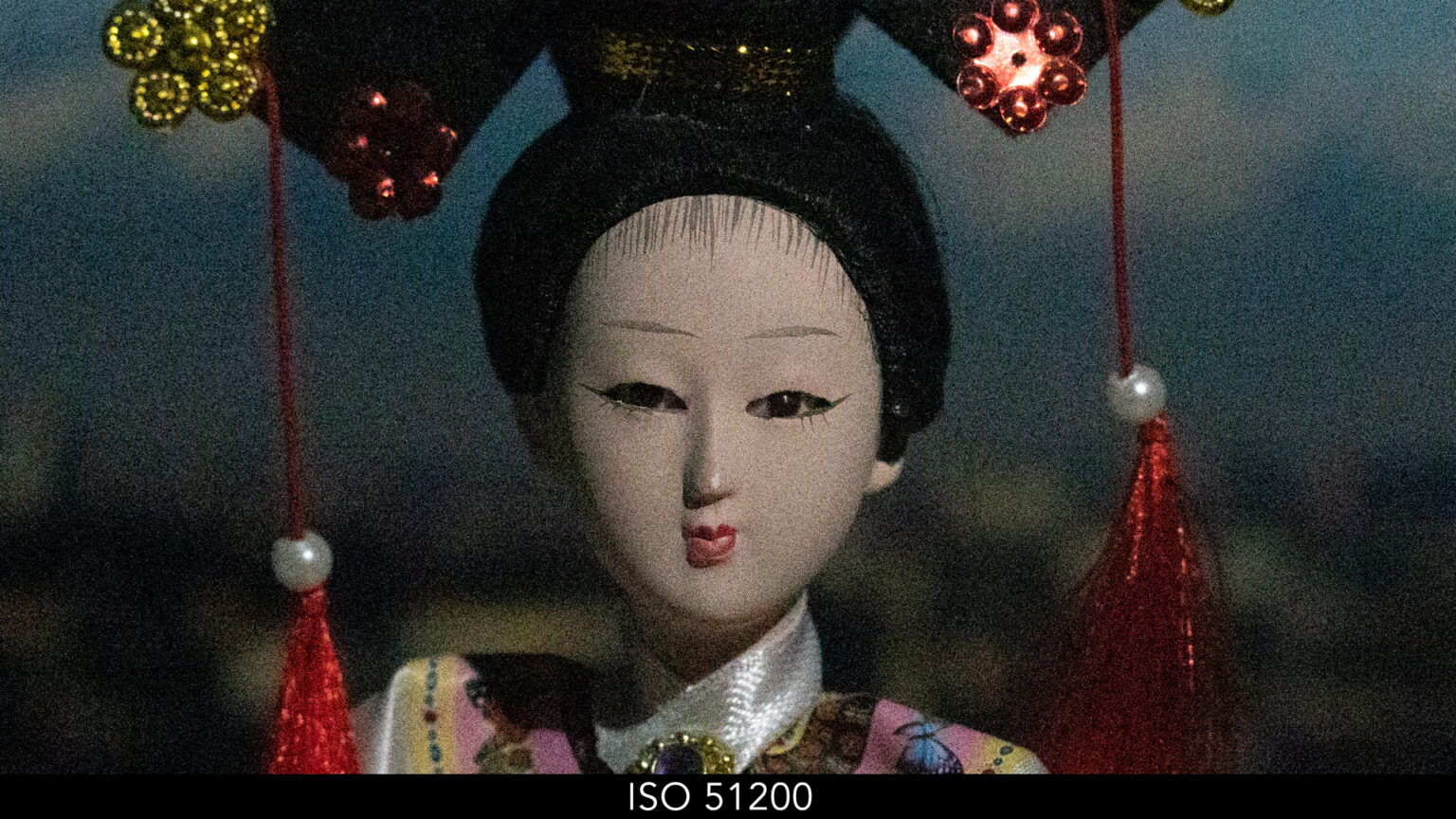 Sony A7R V For Bird Photography Review - Mirrorless Comparison