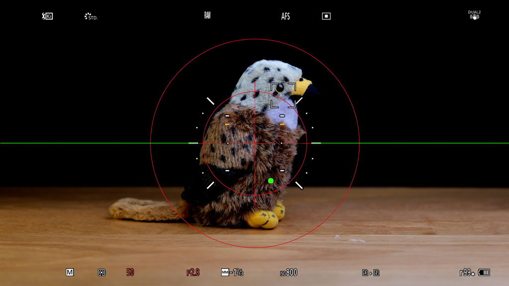 Panasonic G9 vs G9 II - The 10 Main Differences - Mirrorless Comparison