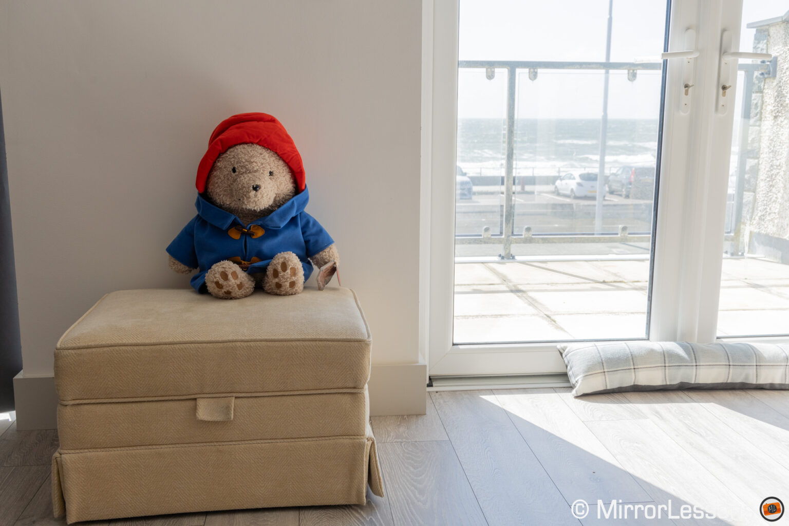 Canon R6 vs R8 - The 10 Main Differences and Full Comparison ...