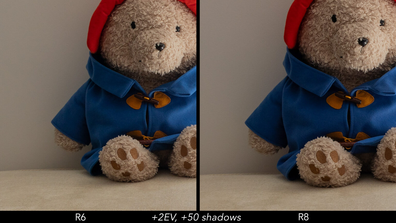 Canon R6 vs R8 - The 10 Main Differences and Full Comparison ...