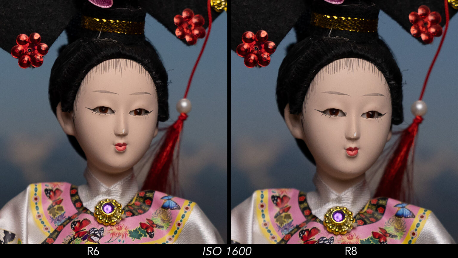 Canon R6 vs R8 - The 10 Main Differences and Full Comparison ...