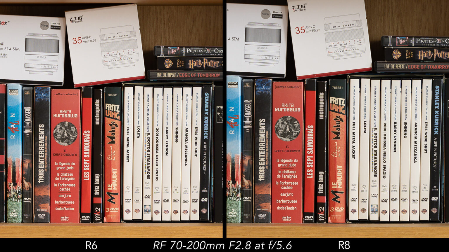 Canon R6 vs R8 - The 10 Main Differences and Full Comparison ...