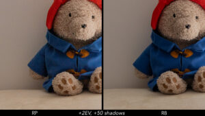 Canon EOS R8 vs RP - The 10 Main Differences and Full Comparison ...