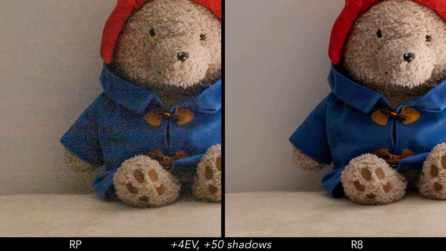 Canon EOS R8 vs RP - The 10 Main Differences and Full Comparison ...