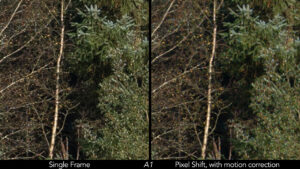 Sony A1 vs A9 III - The 10 Main Differences - Mirrorless Comparison