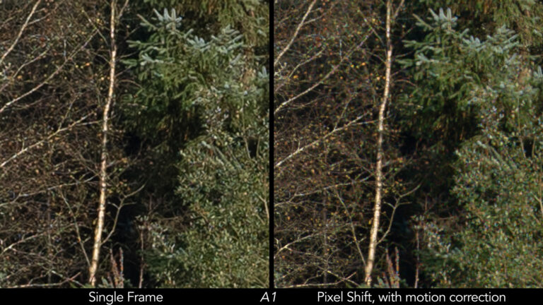 Sony A1 vs A9 III - The 10 Main Differences - Mirrorless Comparison