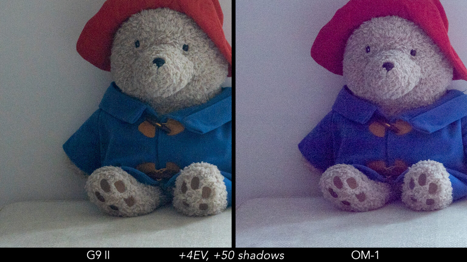 Panasonic G9 II vs OM System OM-1 - The 10 Main Differences and Full Comparison - Mirrorless ...